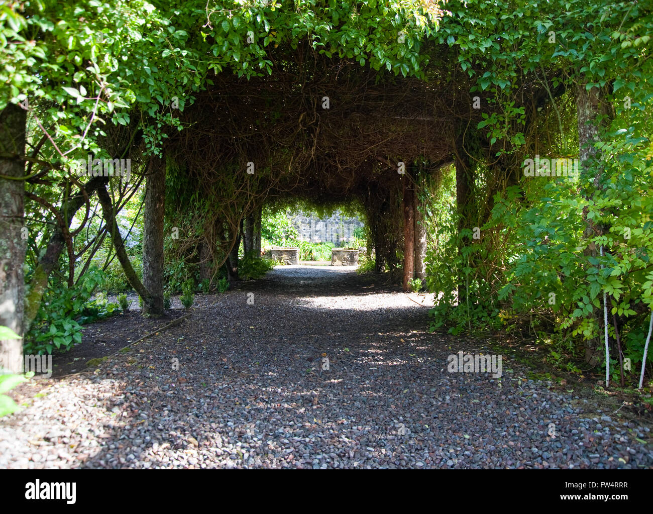 Garden pathway under tree and vine canopy Stock Photo - Alamy