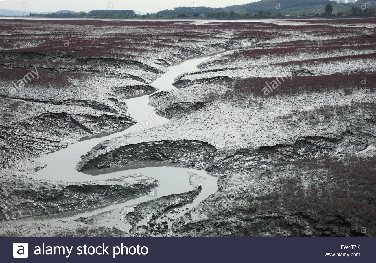 Tidal Channel Stock Photos & Tidal Channel Stock Images - Alamy