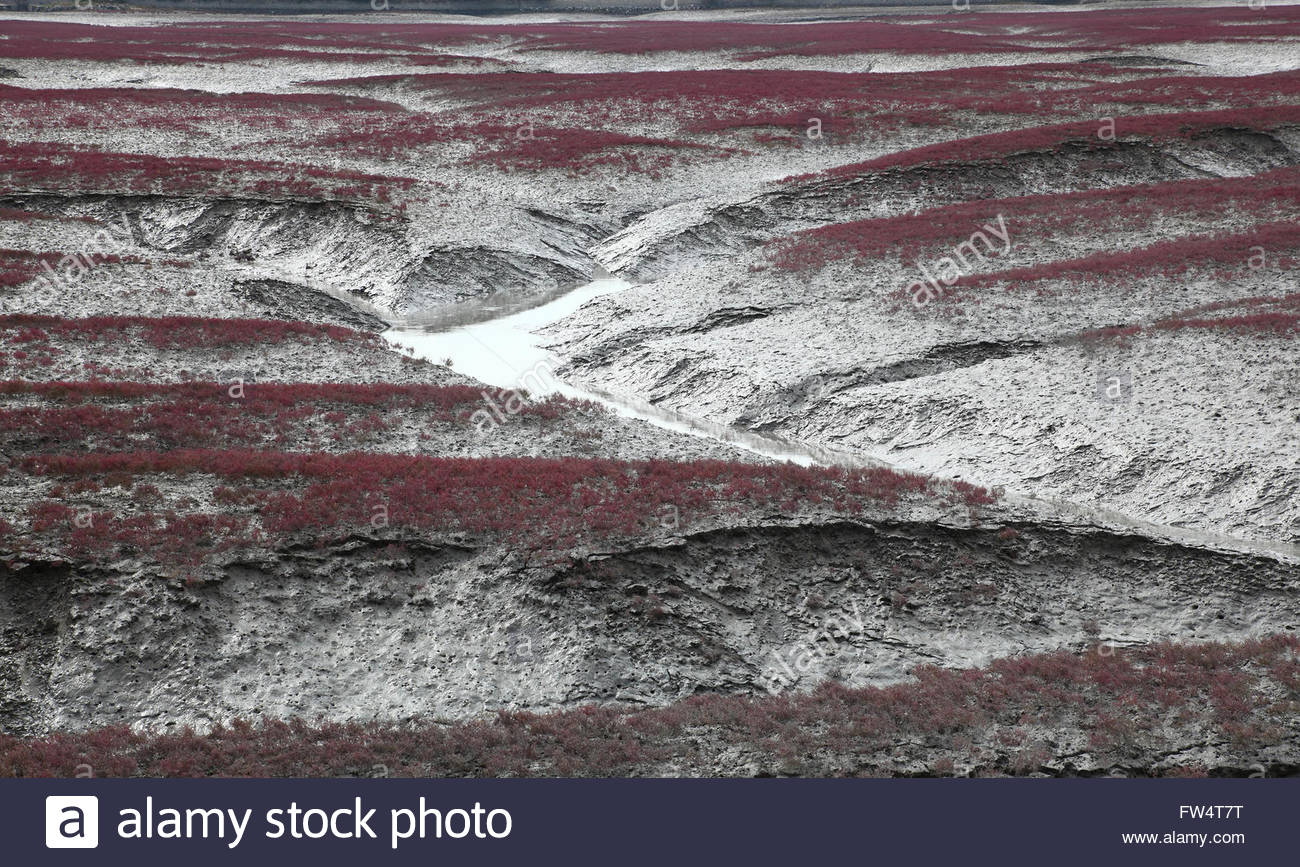 Tidal Channel Stock Photos & Tidal Channel Stock Images - Alamy