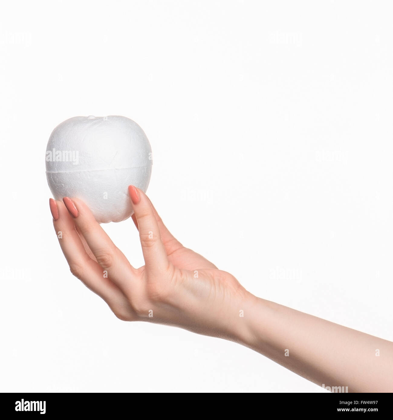 The female hand holding white blank styrofoam oval Stock Photo - Alamy