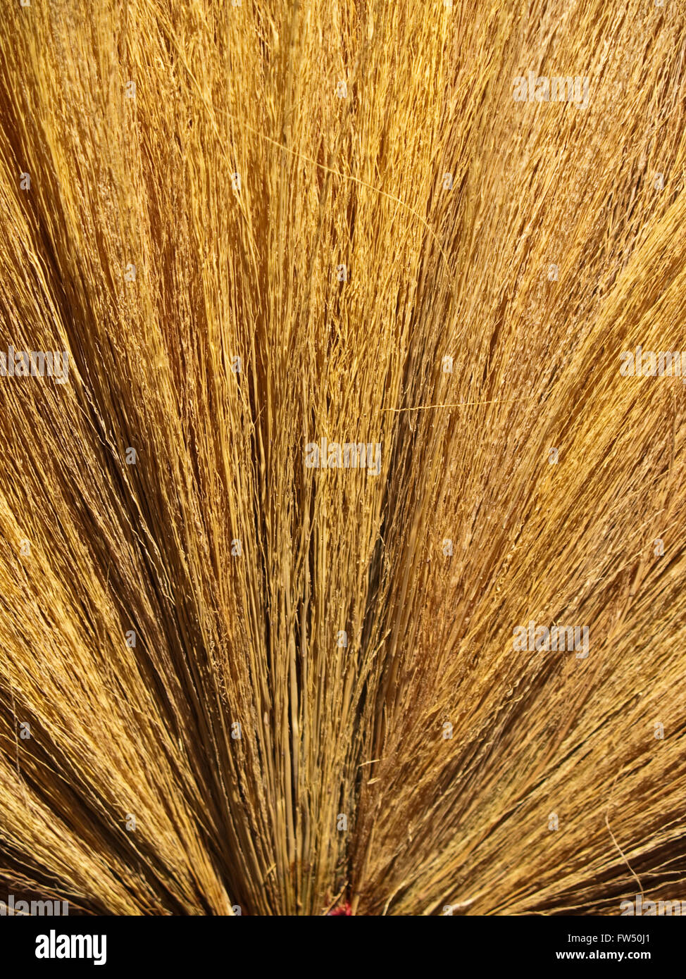 Bind tightly hi-res stock photography and images - Alamy