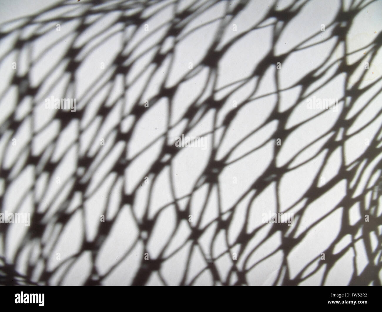 Net shadow on white background Stock Photo - Alamy
