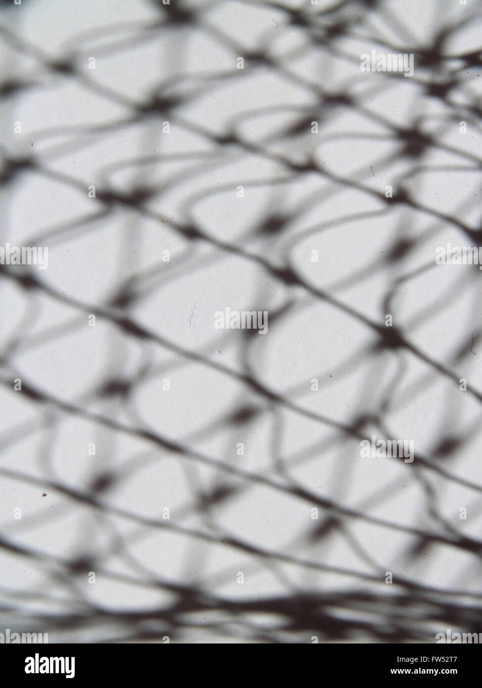 Net shadow on white background Stock Photo - Alamy