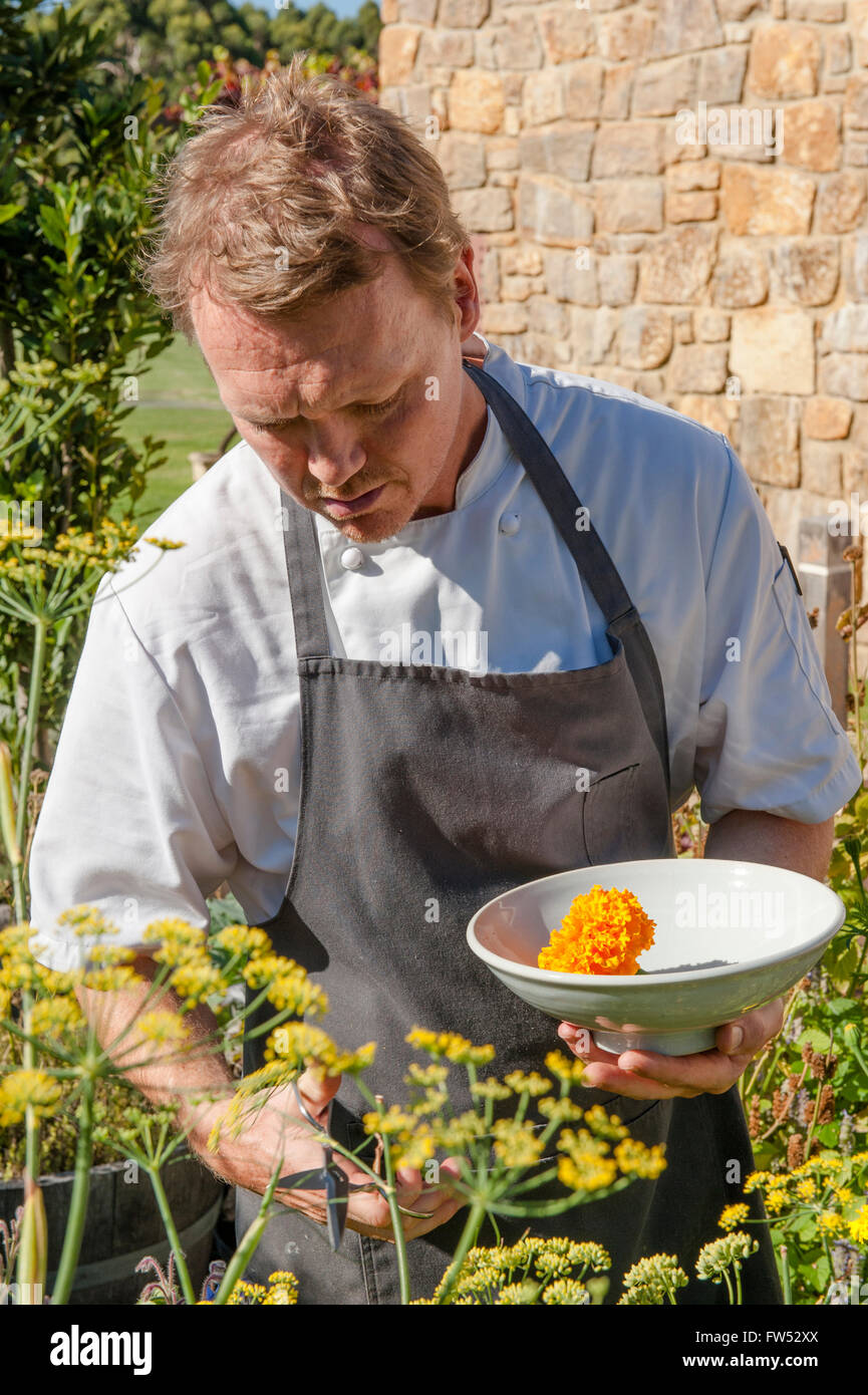 Aaron Carr, head chef at Vasse Felix, is collecting edible flowers to ...