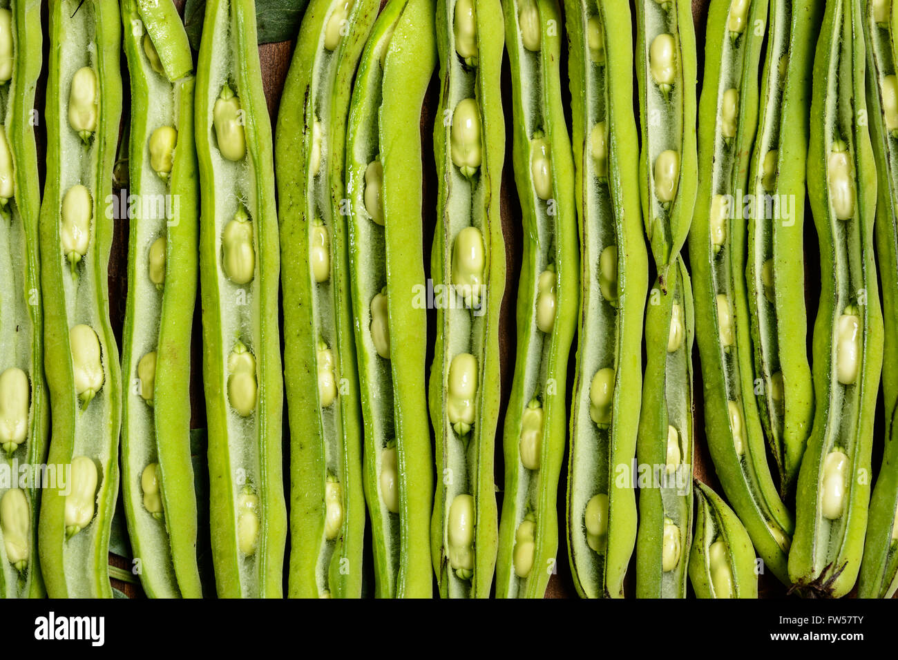 Olive oil pattern hi-res stock photography and images - Alamy