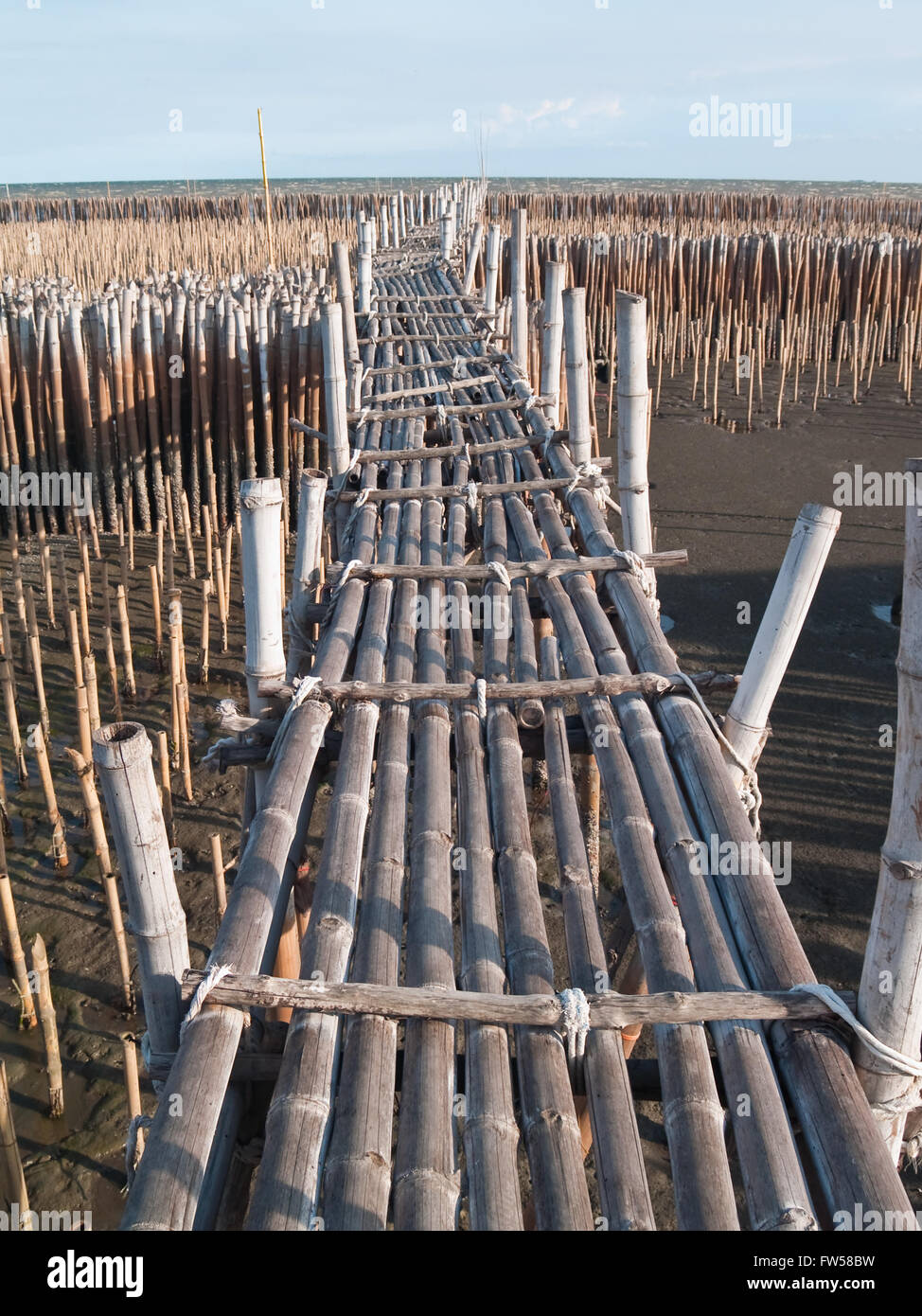 Bamboo bridge and bamboo field Stock Photo - Alamy