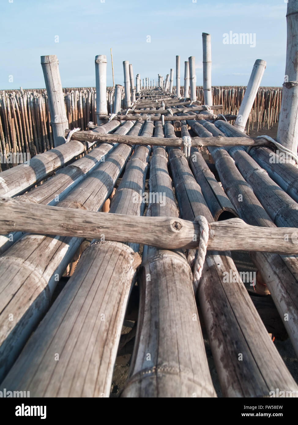 Bamboo bridge and bamboo field Stock Photo - Alamy