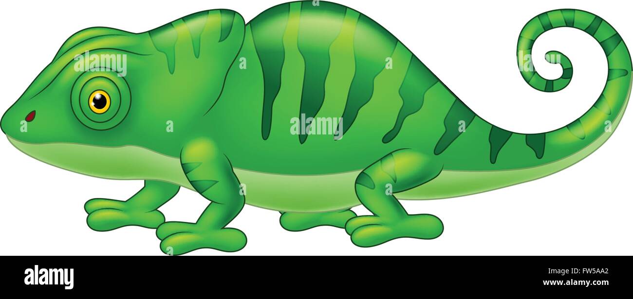 Cartoon cute Chameleon on white background Stock Vector Image & Art - Alamy