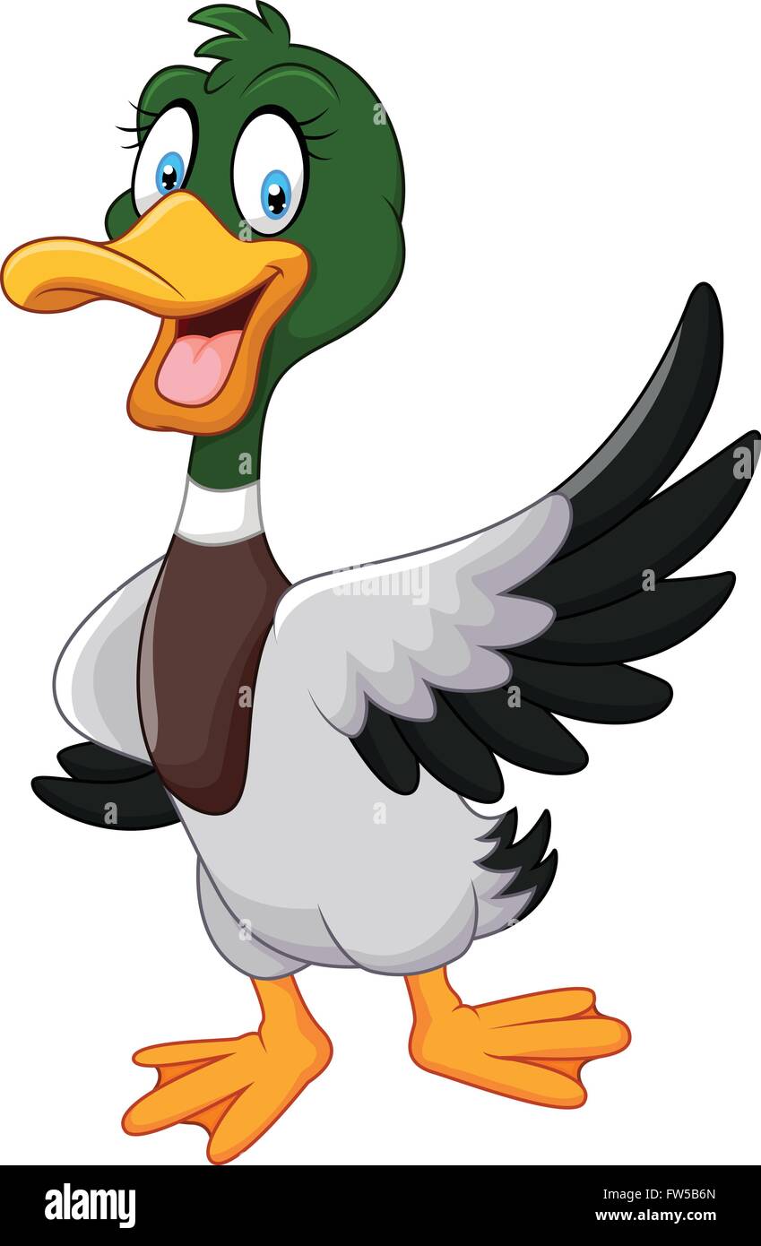 Cartoon mallard duck waving isolated on white background Stock Vector ...