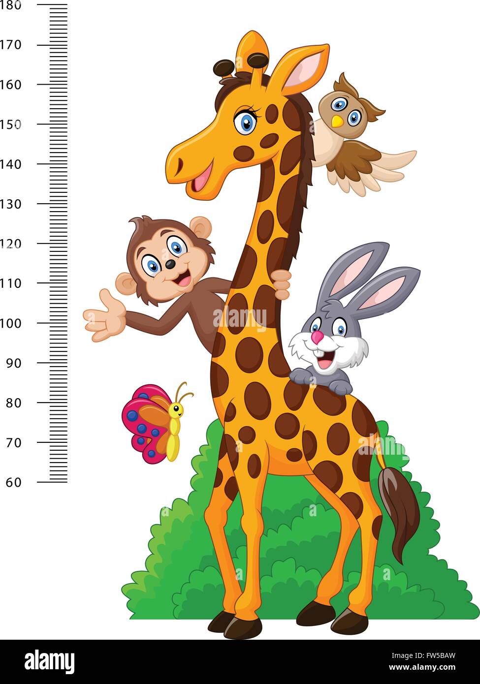 Height measurement cartoon hi-res stock photography and images - Alamy