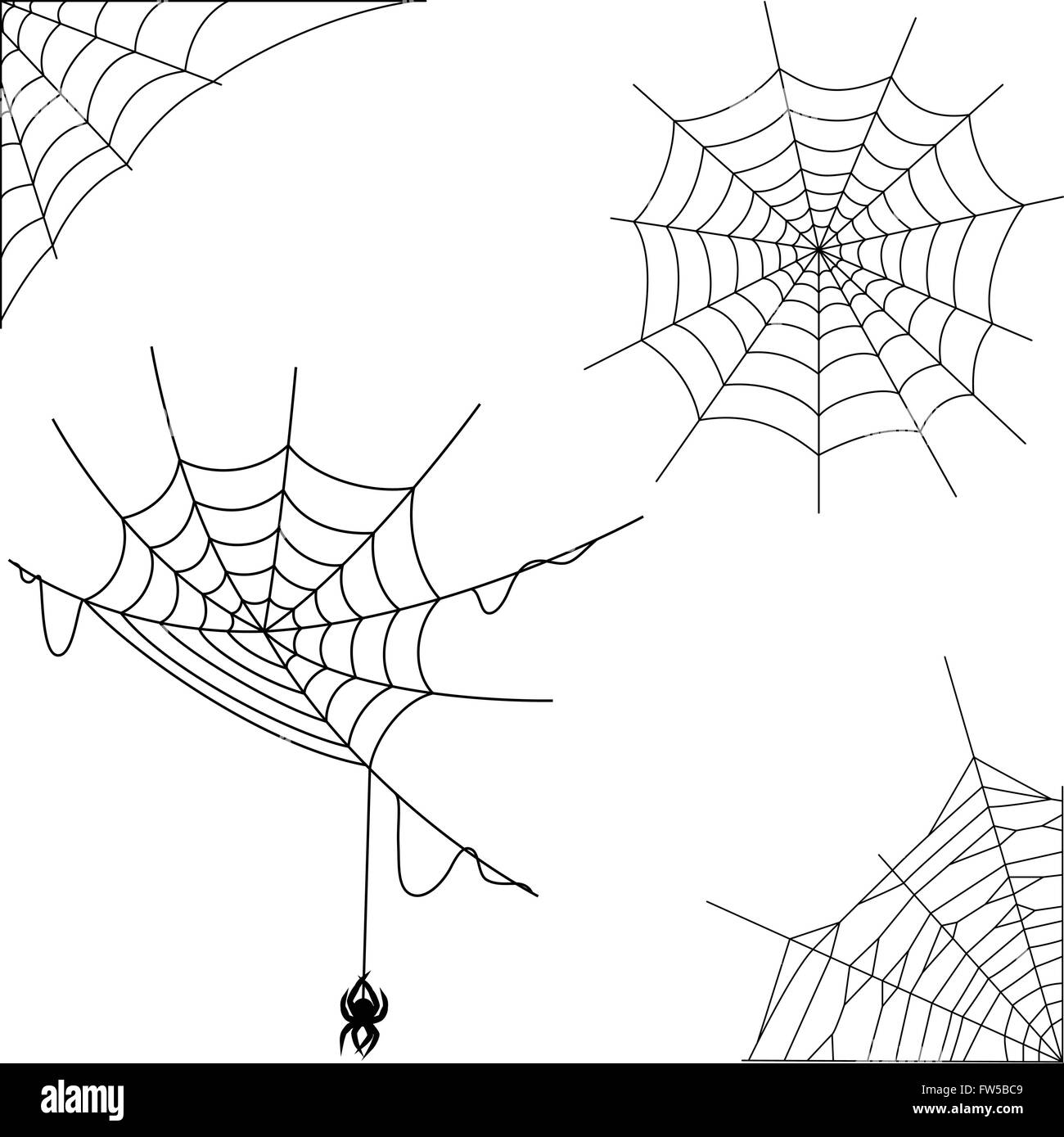 Cartoon spider hi-res stock photography and images - Alamy