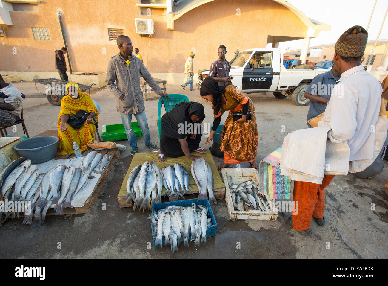 Mauritania nouakchott fish market hi-res stock photography and images ...