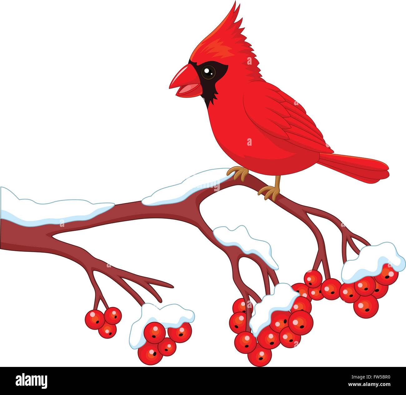 Cardinal Bird Drawing