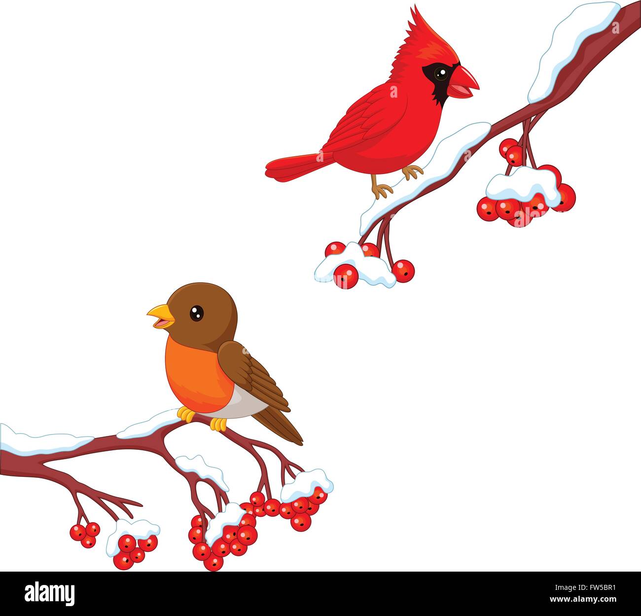 Odd Funny Cartoon Robin Bird