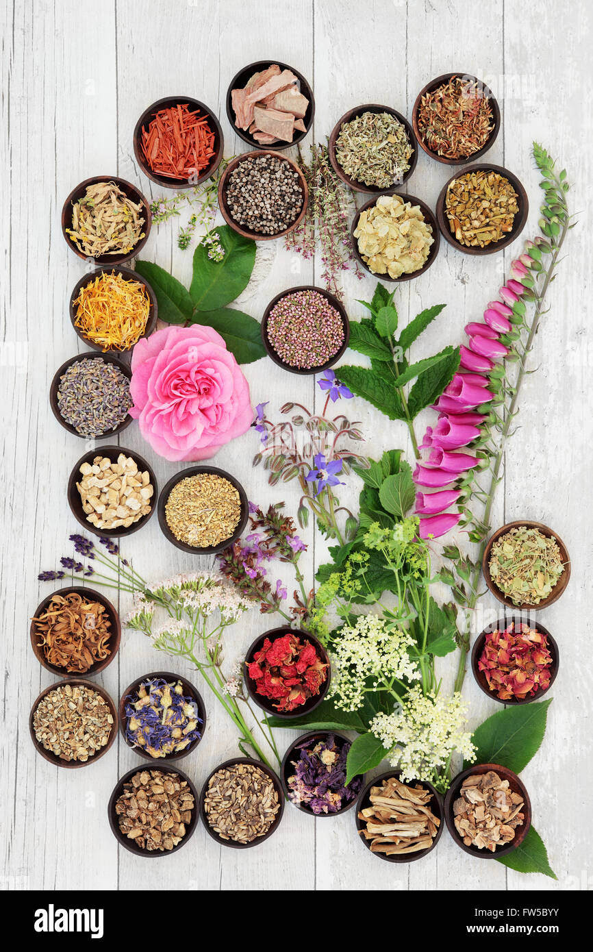 Medicinal flower and herb selection used in alternative herbal medicine ...