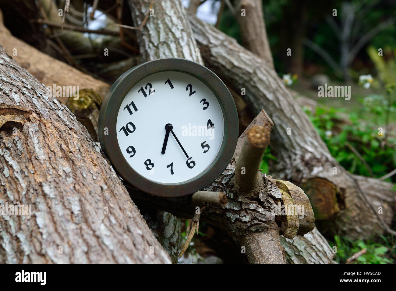 Get on with your work ! remember , time is money Stock Photo - Alamy