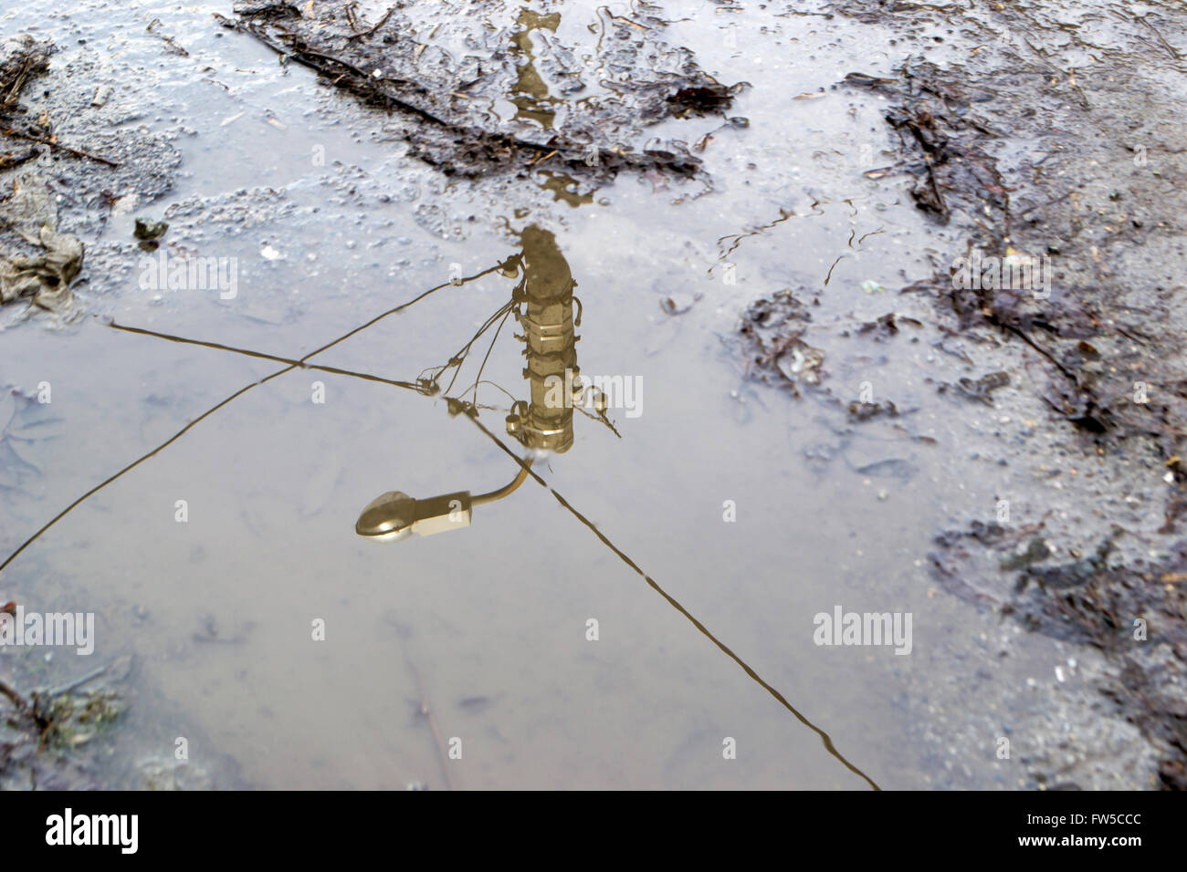 Reflection of the street lamp in a muddy puddle Stock Photo - Alamy