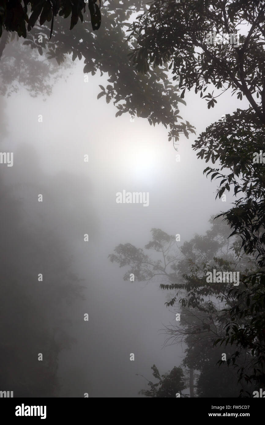 The sun shines through mist hi-res stock photography and images - Alamy