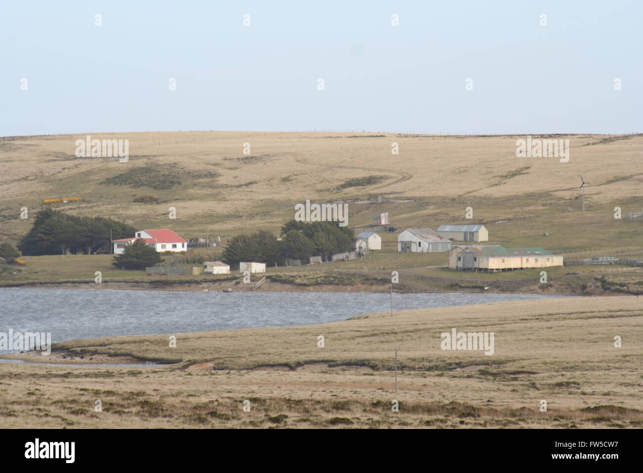 Bluff Cove, West Falkland Stock Photo - Alamy