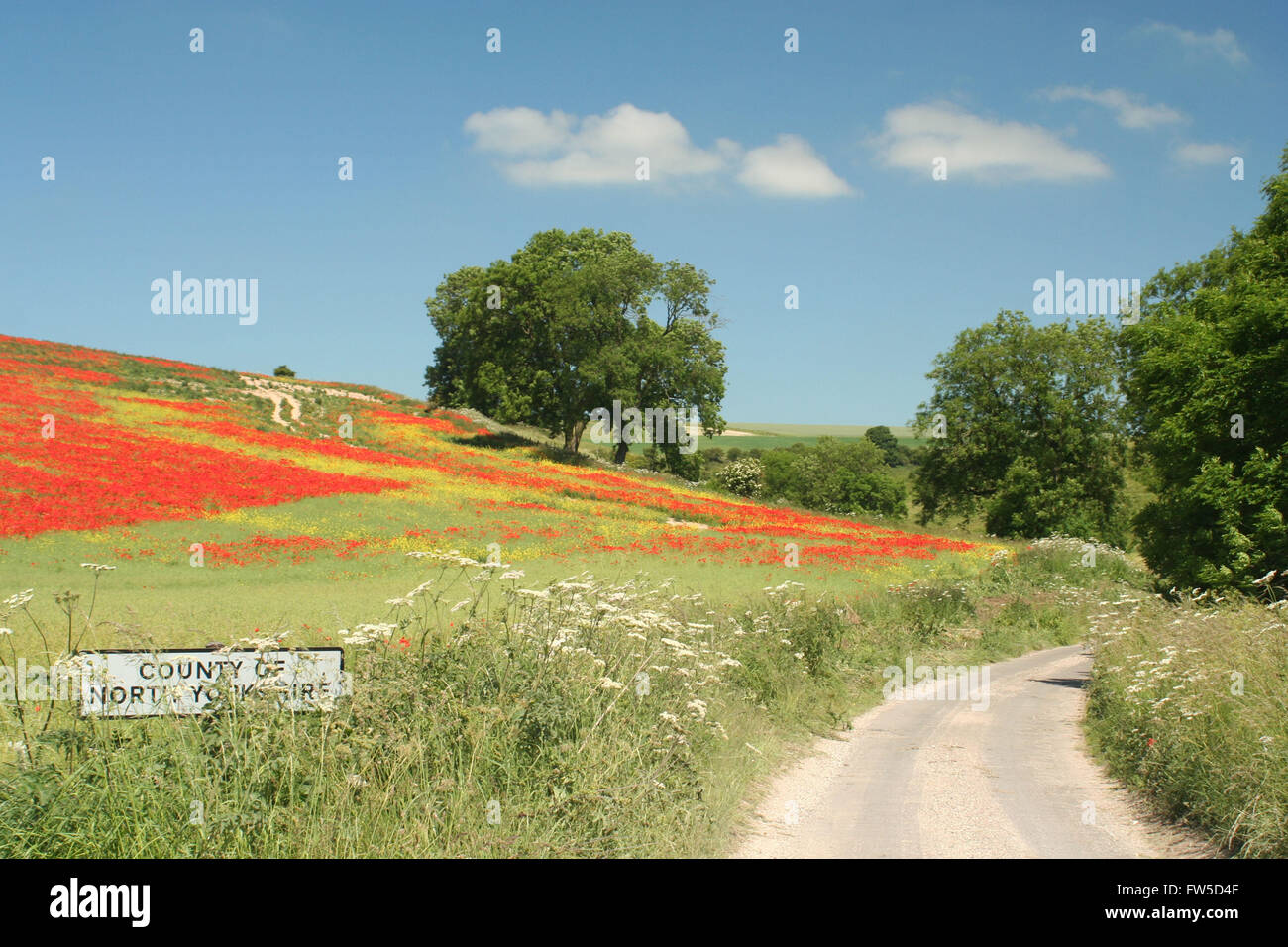 Country lanes yorkshire hi-res stock photography and images - Alamy