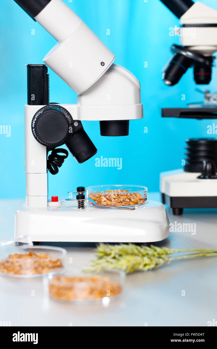 Microbiological Analysis High Resolution Stock Photography and Images ...