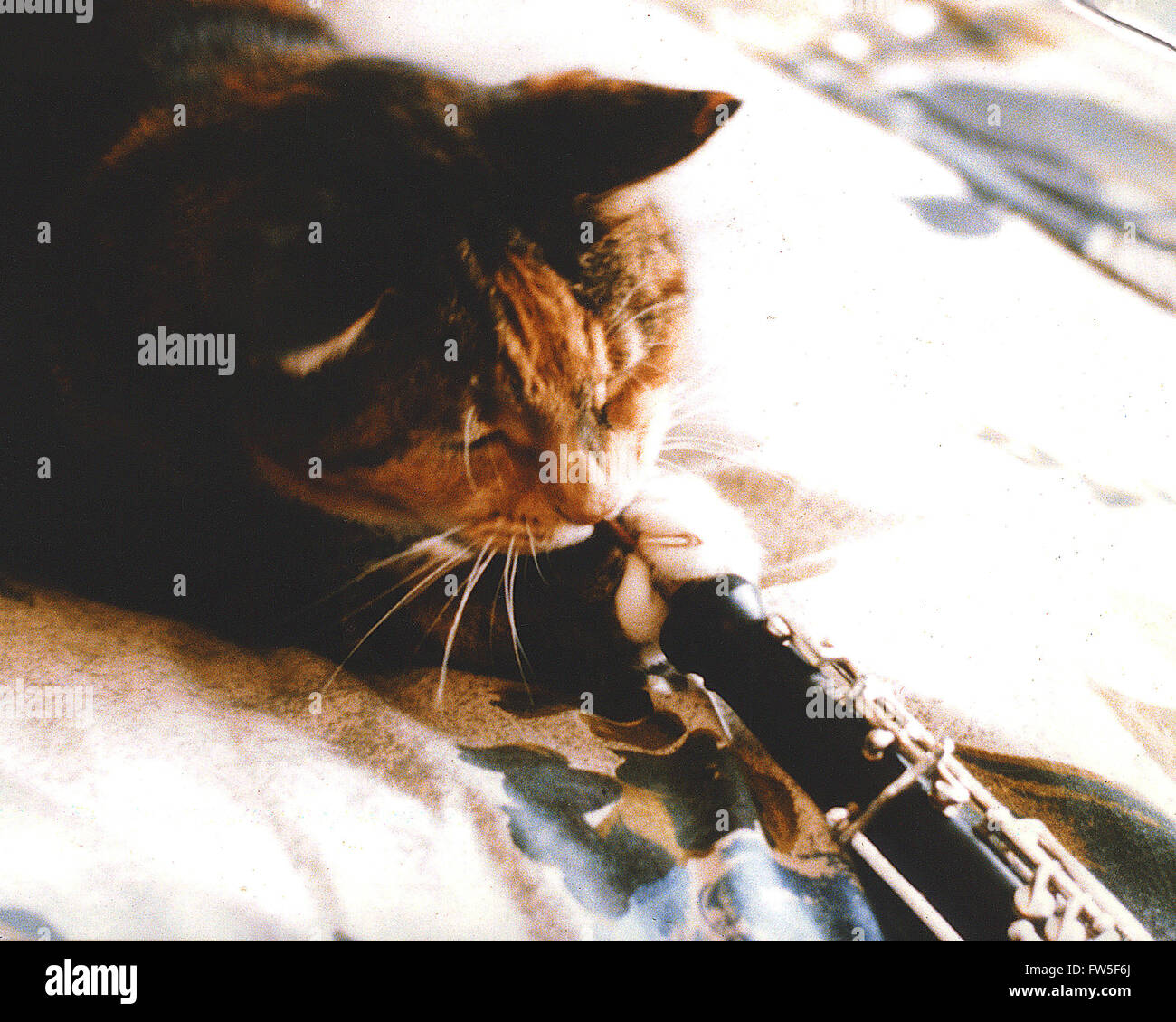 Titled hi-res stock photography and images - Alamy