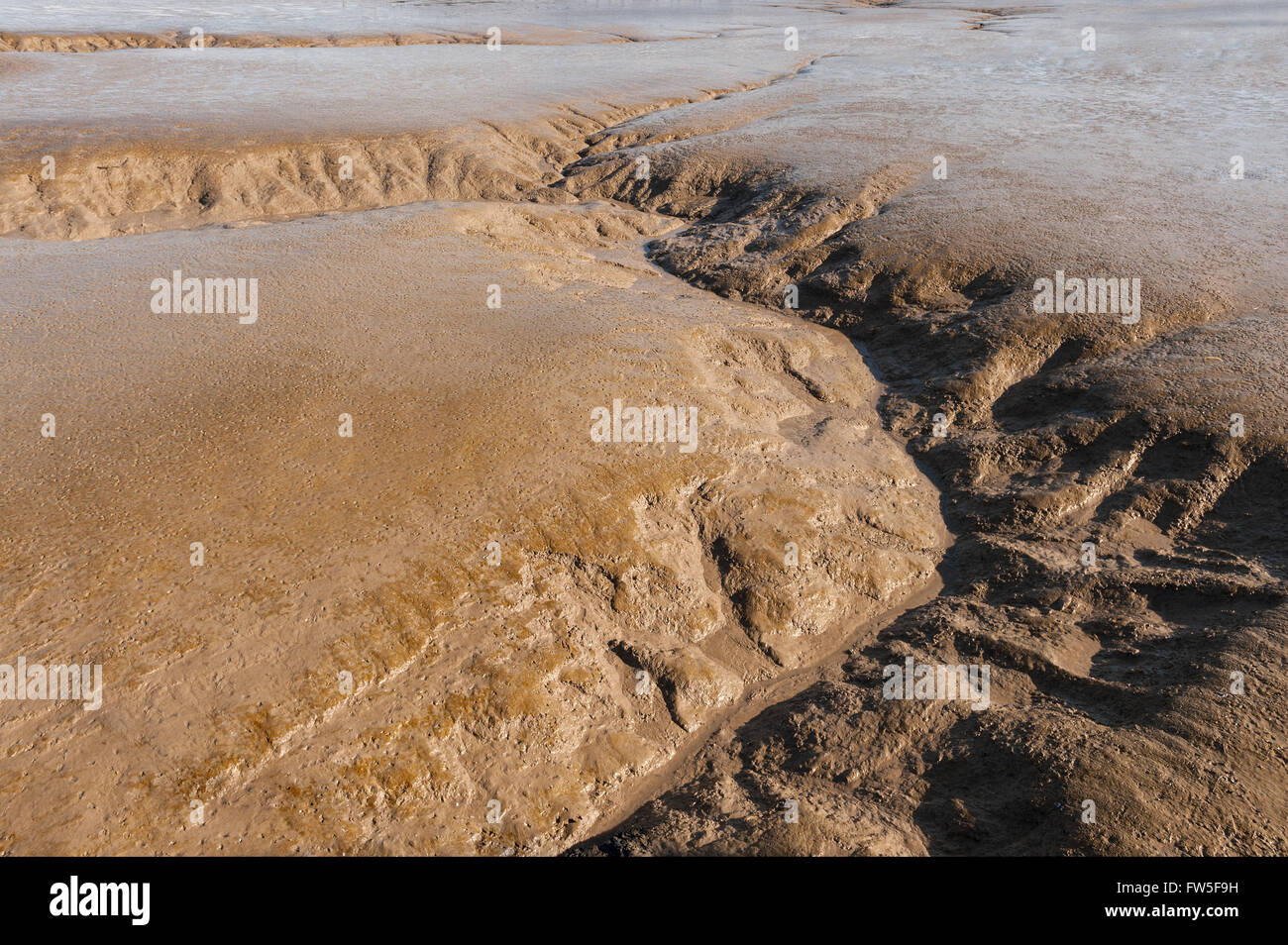 deep cut meandering water channels cut by streams at low tide through ...