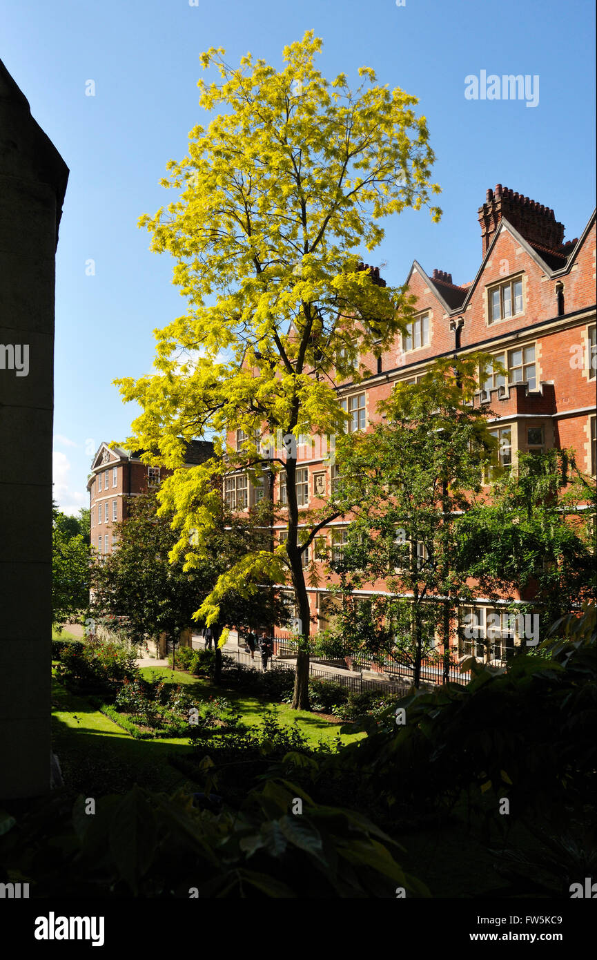 Garden Court, from Middle Temple gardens, legal chambers, London, above ...