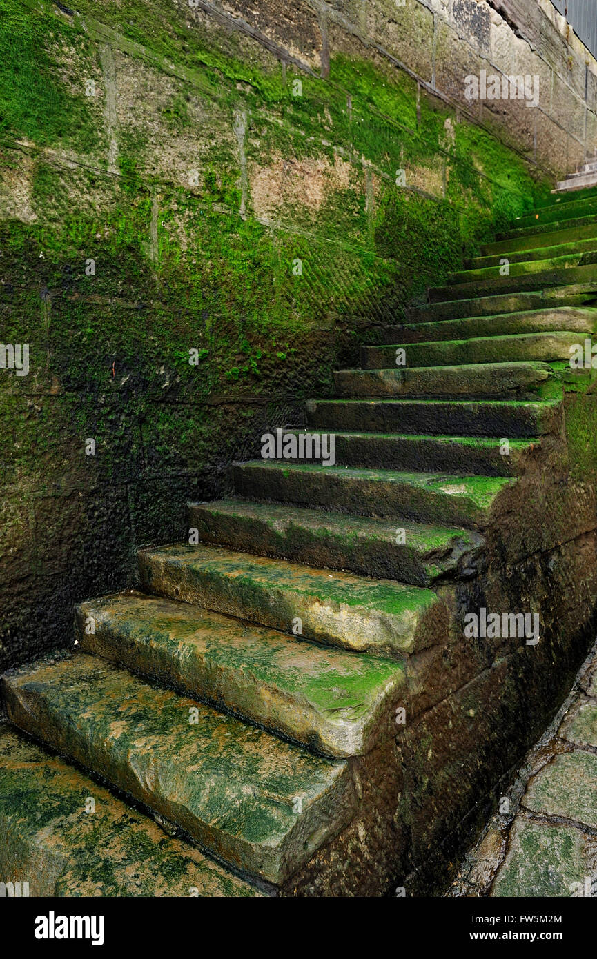 Wapping Old Stairs on River Thames. Charles Dickens, English novelist ...