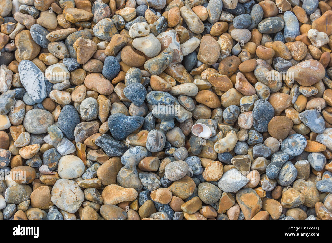 Detailed pebbles hi-res stock photography and images - Alamy