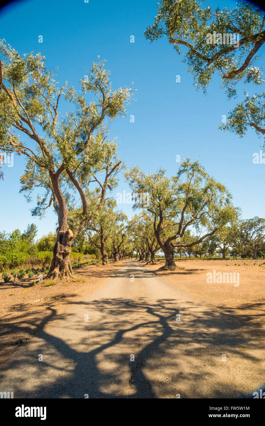 Looking Down The Road High Resolution Stock Photography and Images - Alamy