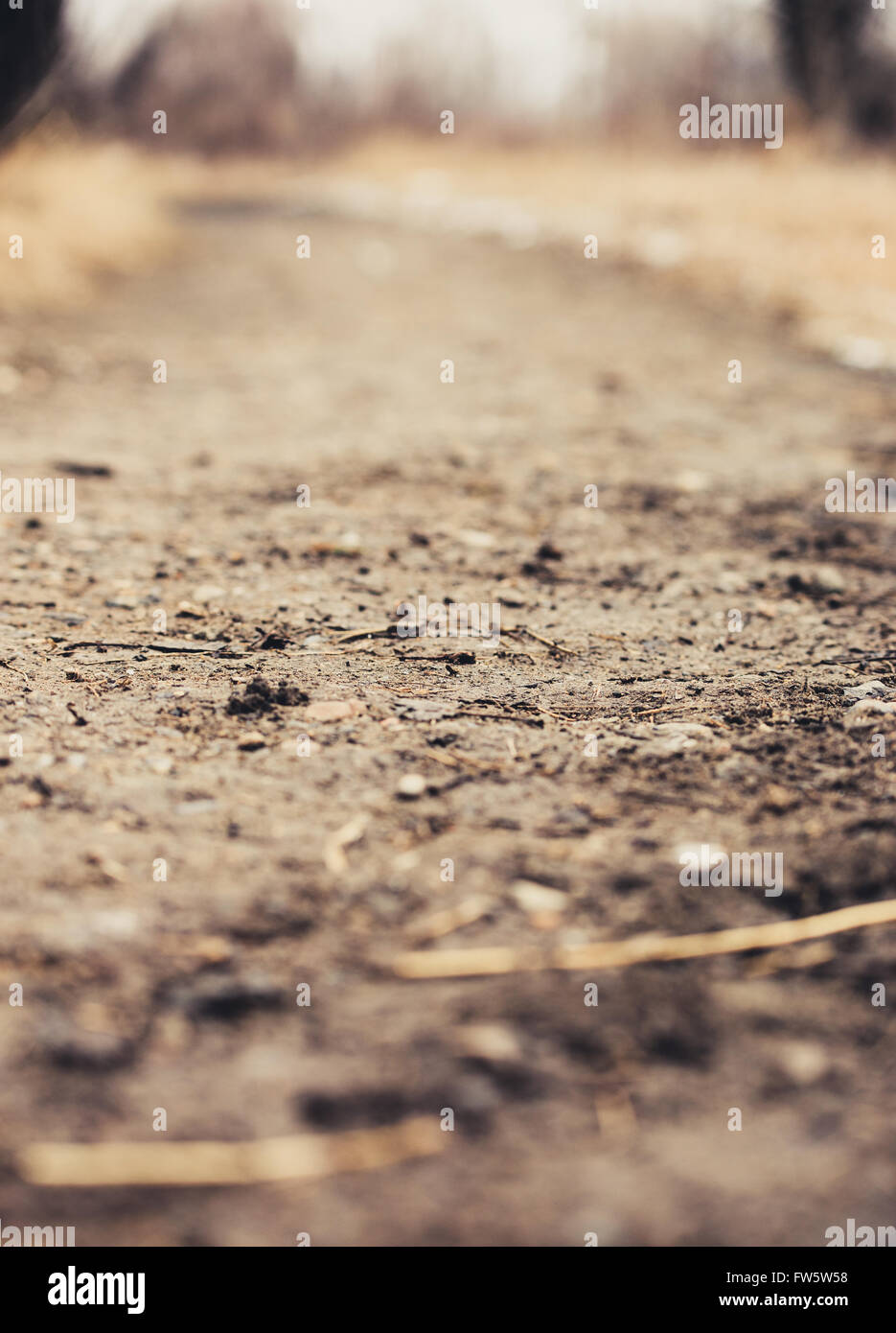 Pathway trail path hi-res stock photography and images - Alamy