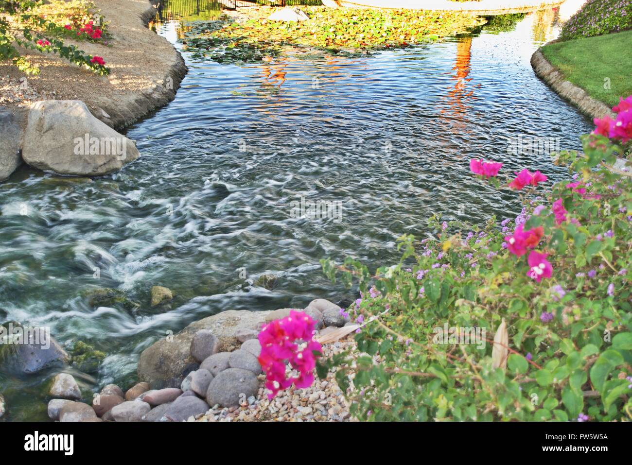 Moving through grass hi-res stock photography and images - Alamy