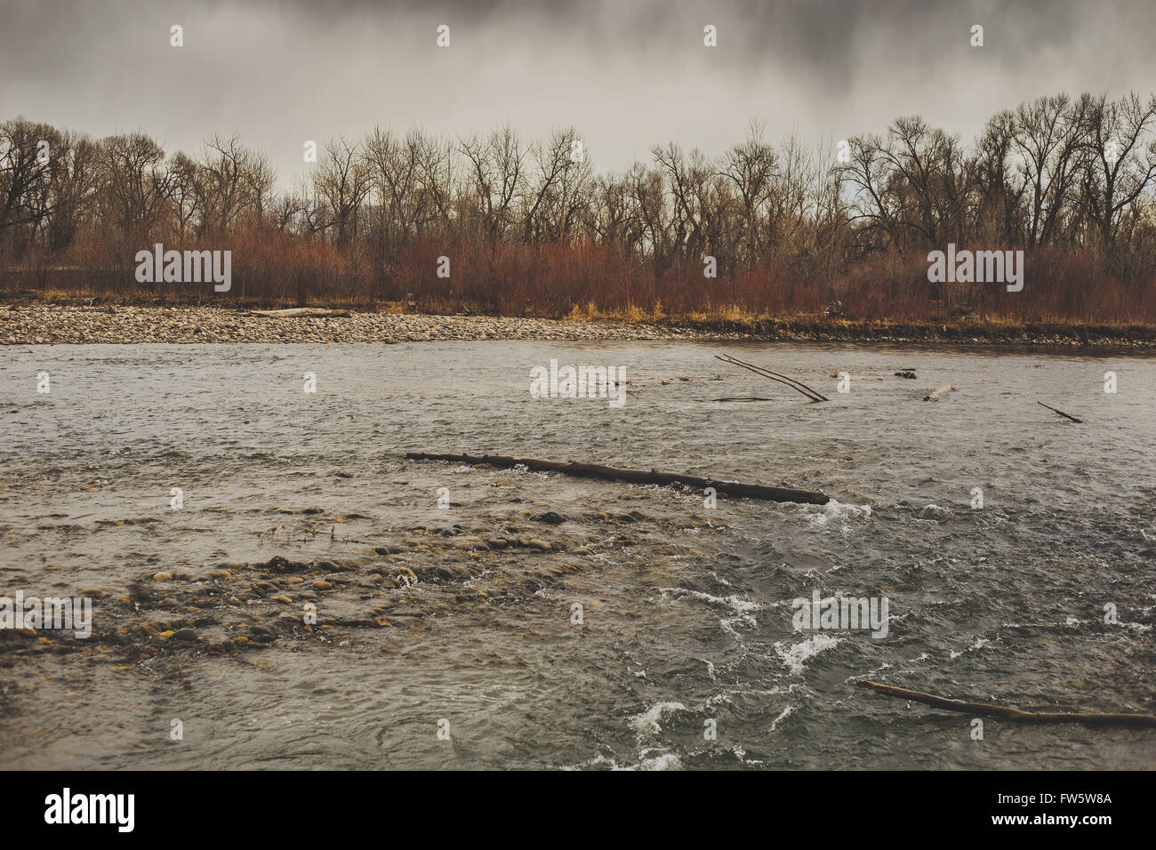 River landscape with trees and flowing water Stock Photo - Alamy