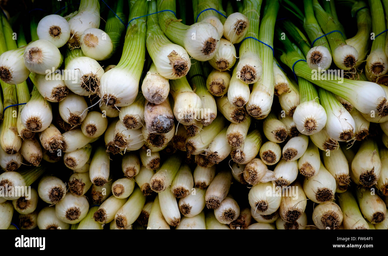 Leeks for sale on a stall in the Bullring Street Market in Birmingham ...