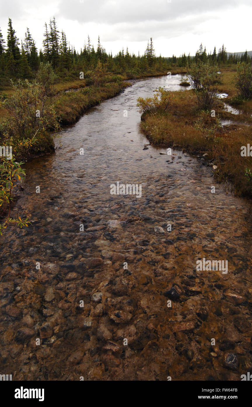 Peaceful Alaska wilderness mountain stream landscape in summer Stock ...