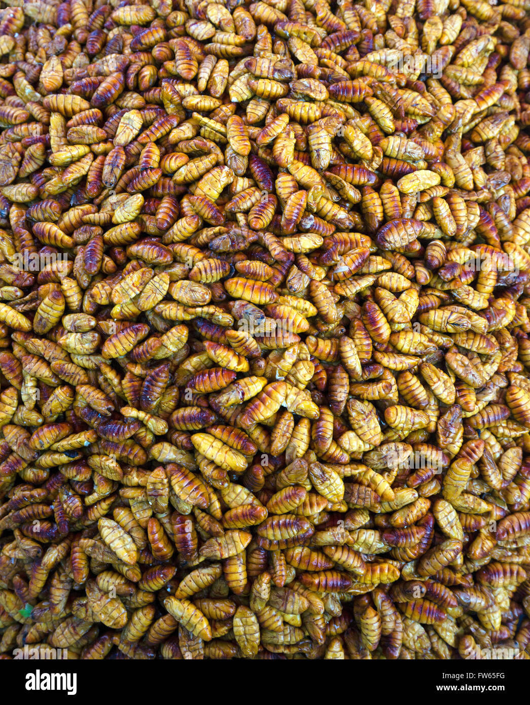 Deep-fried silkworms on a market, edible insects, Thai cuisine ...