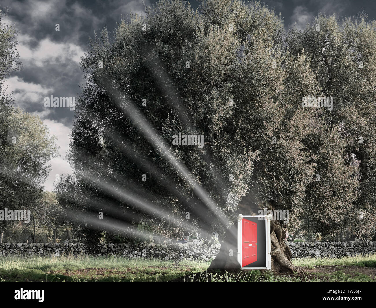 Olive green door hi-res stock photography and images - Alamy