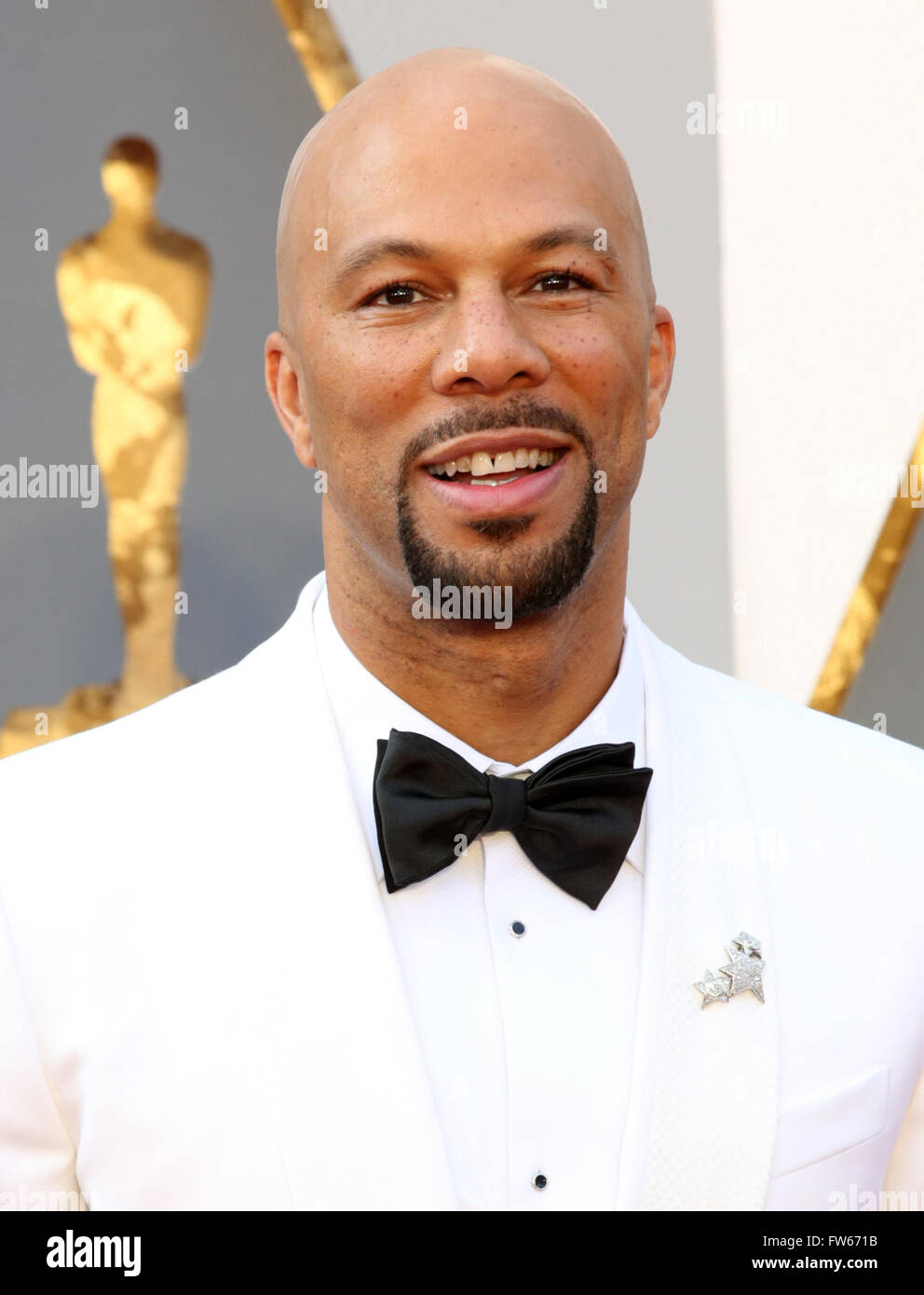 Celebrities attend 88th Annual Academy Awards at Hollywood & Highland ...