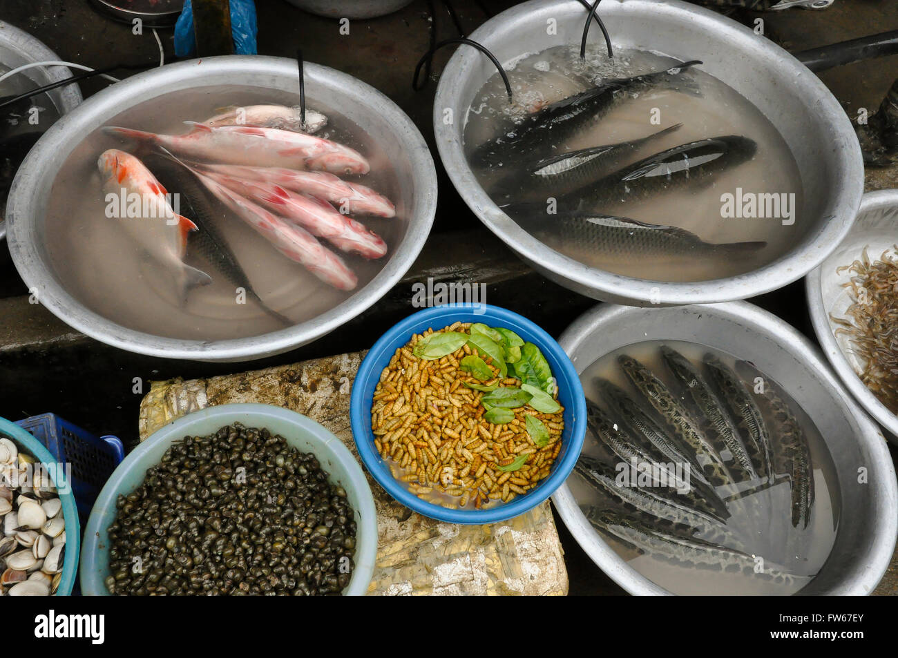 Vietnam insect market hi-res stock photography and images - Alamy