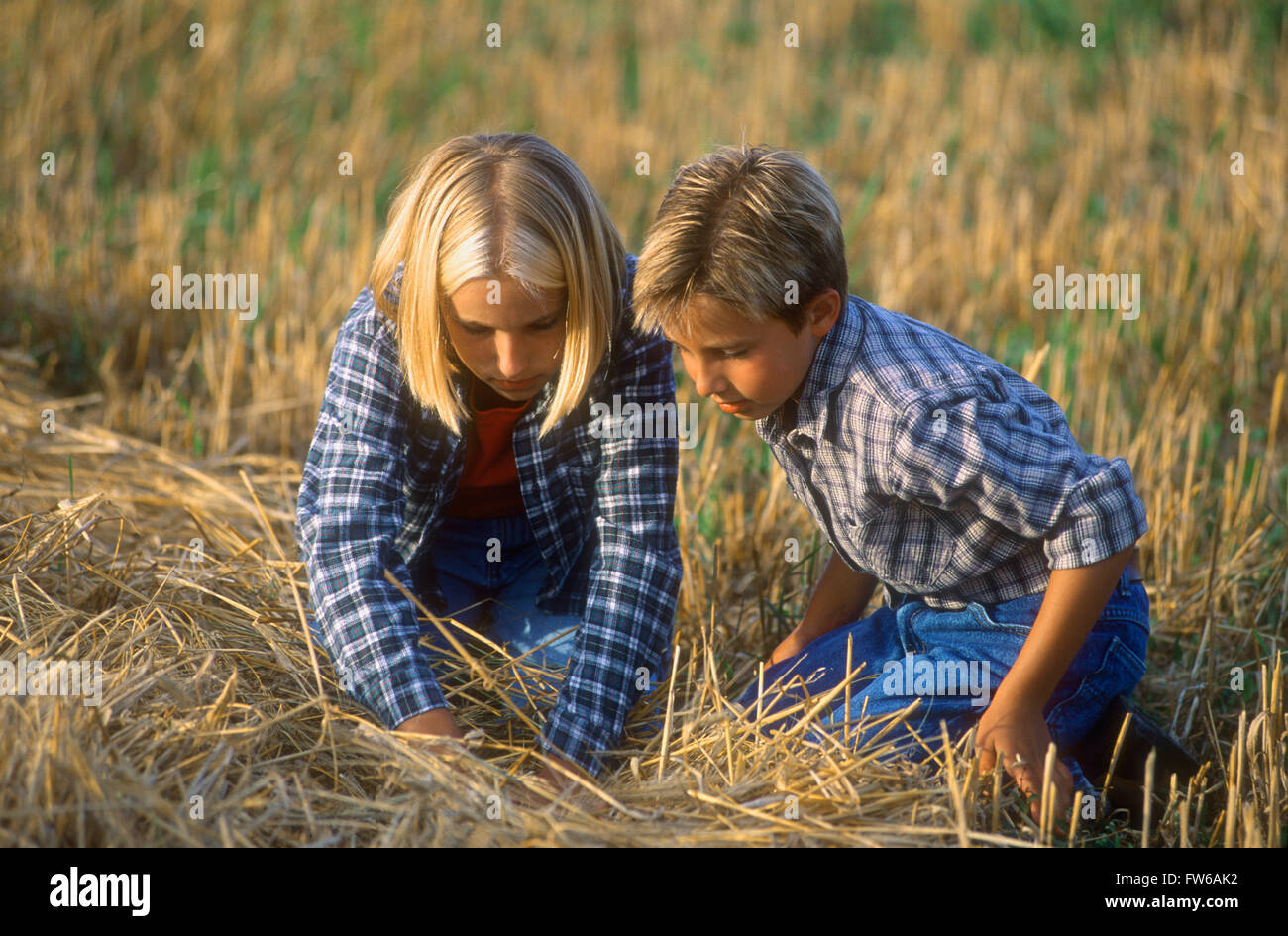 Children in the field hi-res stock photography and images - Alamy