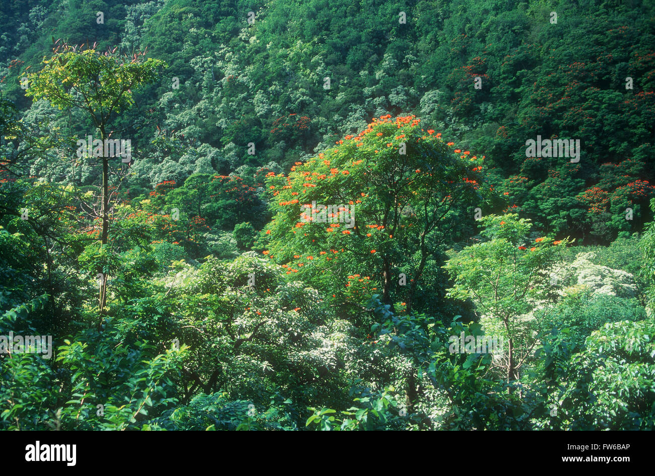 Maui tourist attractions hi-res stock photography and images - Alamy