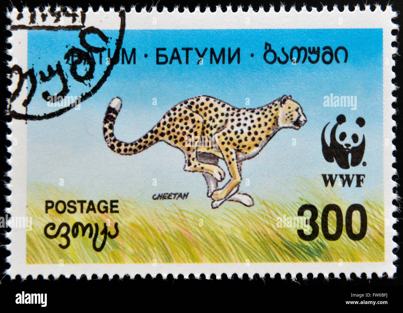 BATUMI - CIRCA 1994: A stamp printed in Batumi shows cheetah, circa ...
