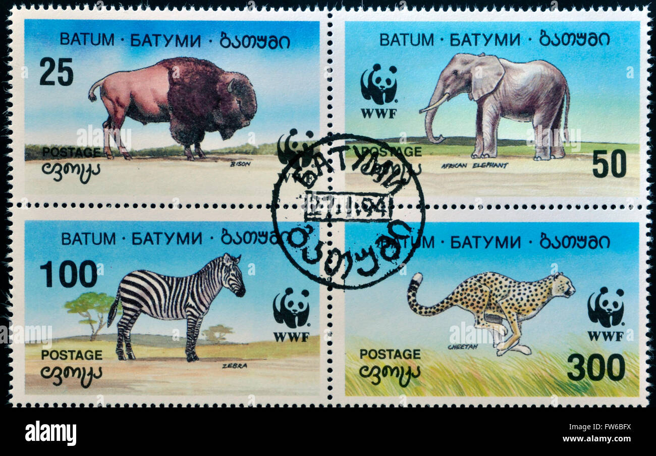 BATUMI - CIRCA 1994: A stamp printed in Batumi shows elephant, bison ...