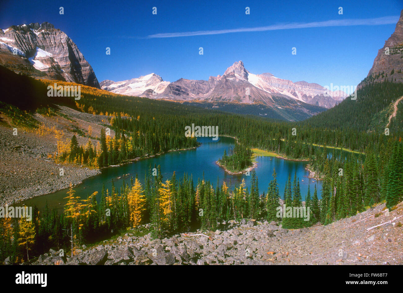 Opabin plateau hi-res stock photography and images - Alamy