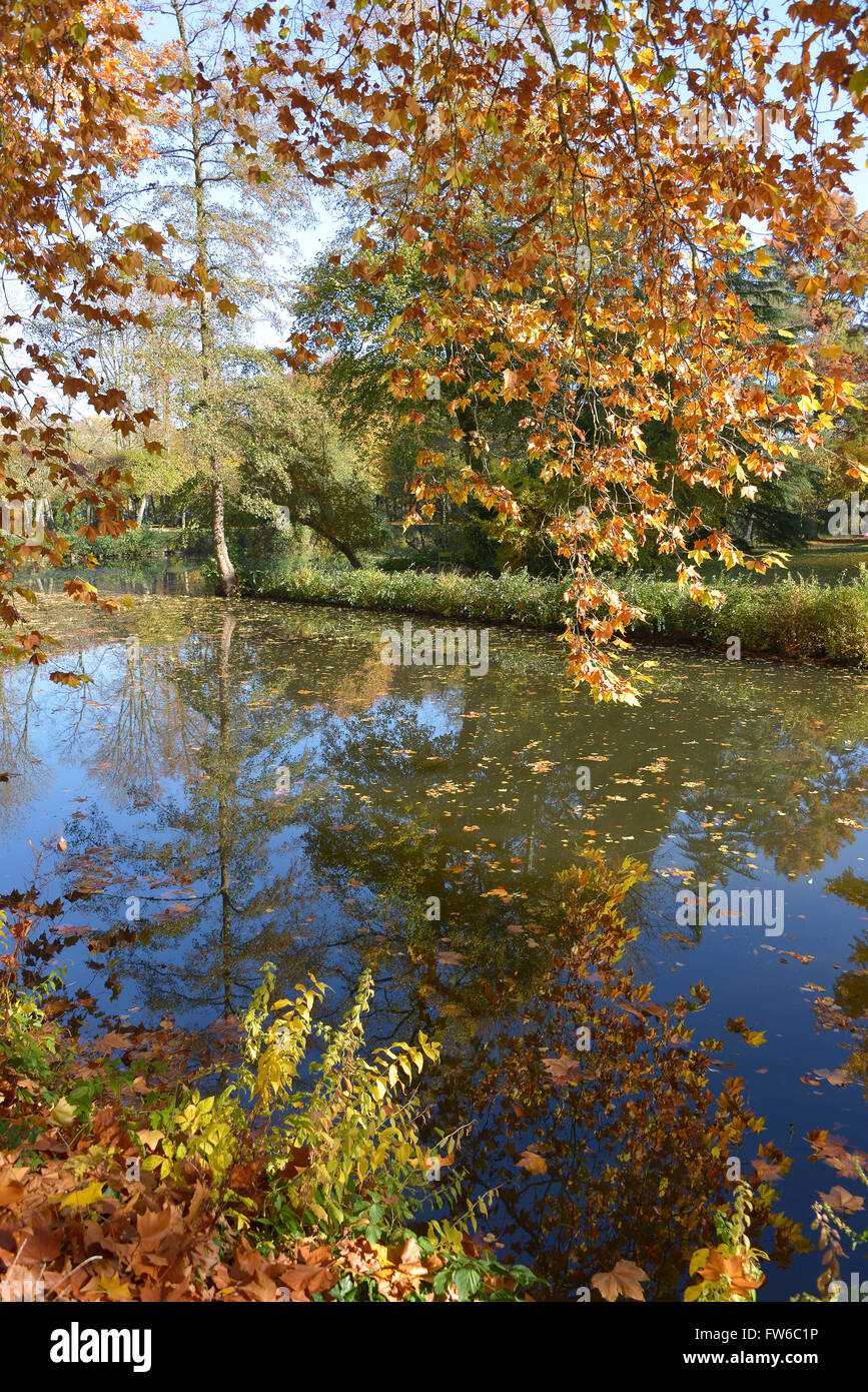 Pond and trees with fall foliage in France in department Ile-de-France ...