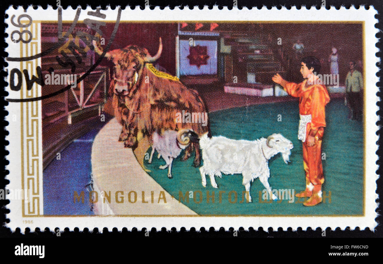 Circus Goat High Resolution Stock Photography and Images - Alamy