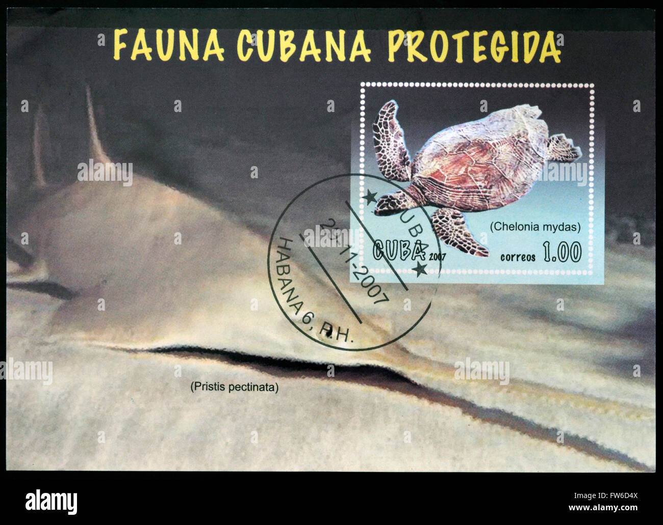 CUBA - CIRCA 2007: A stamp printed in Cuba shows a sea turtle (Chelonia ...