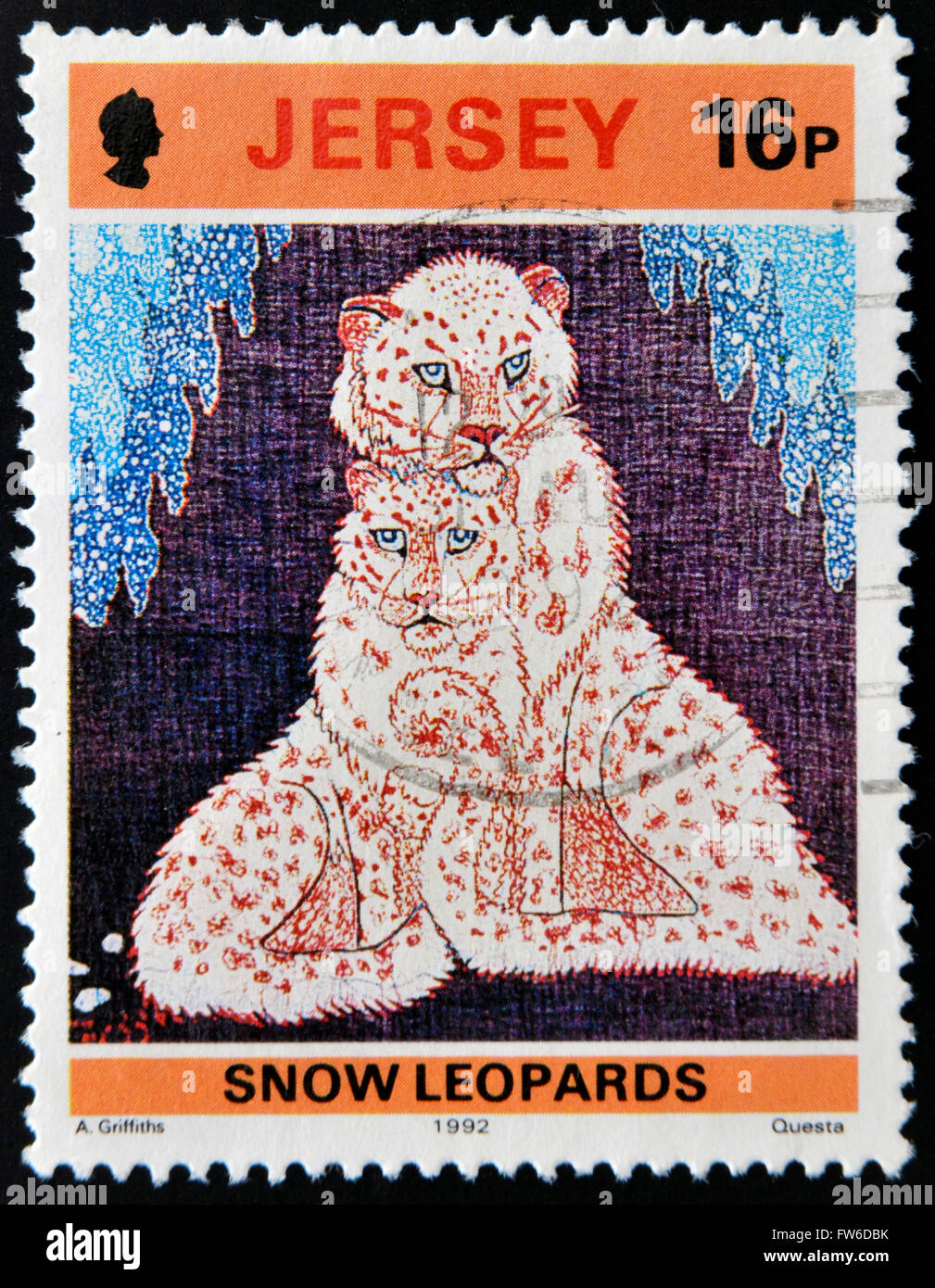 JERSEY - CIRCA 1992: A stamp printed in Jersey shows Snow Leopards ...