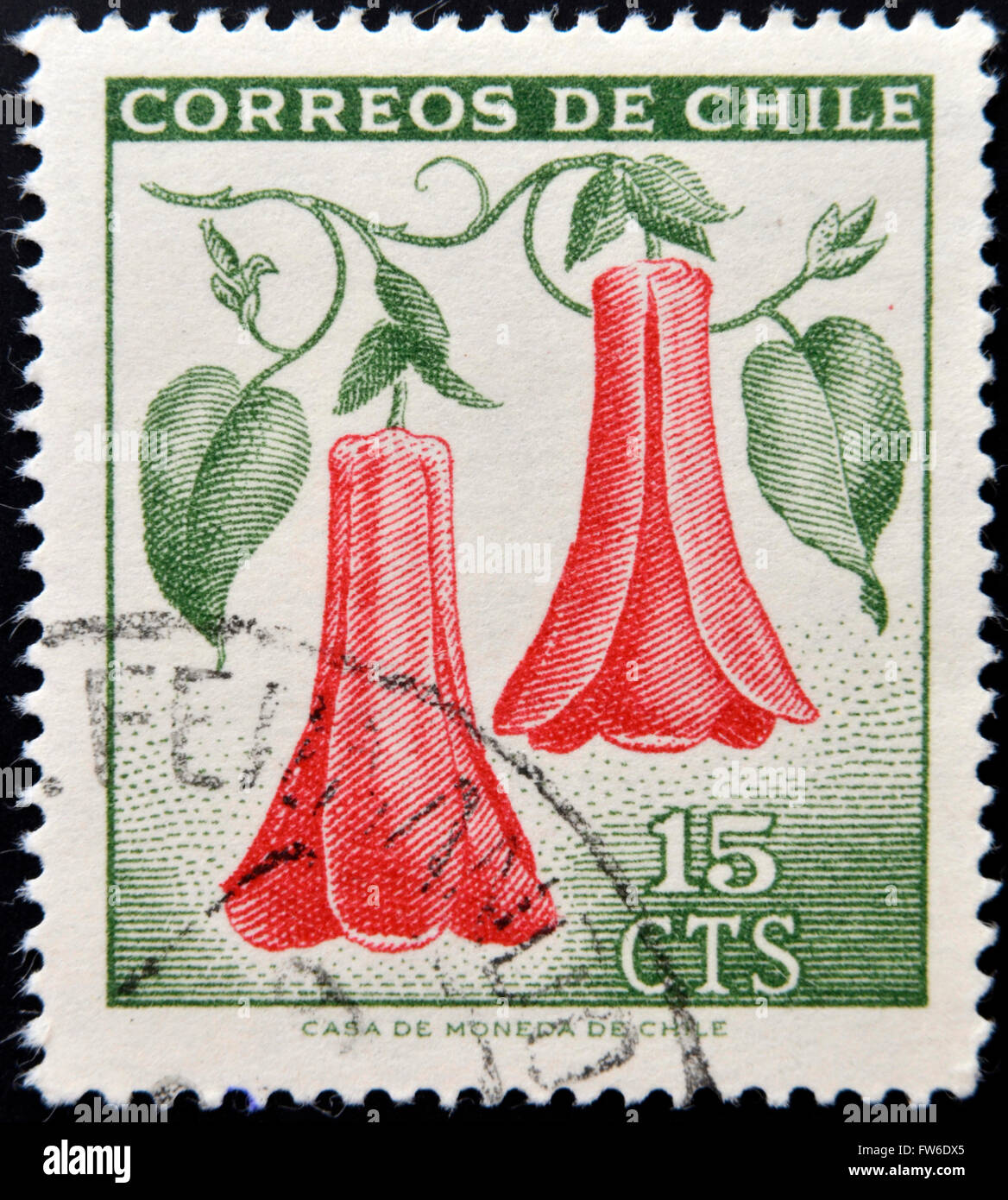 Chile bellflower stamp hi-res stock photography and images - Alamy
